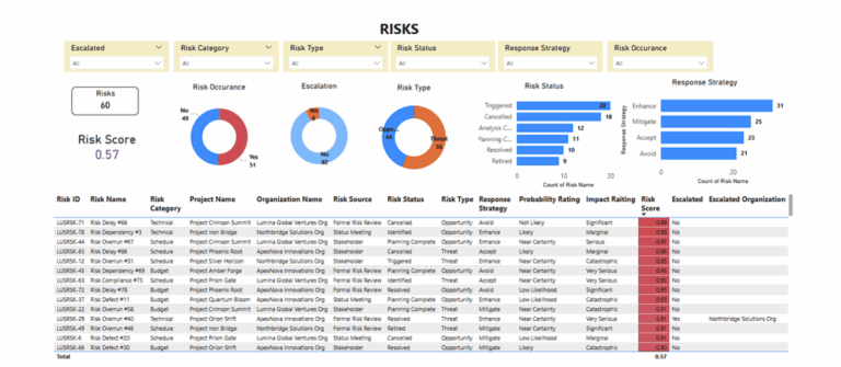 Risk Management in Projects: Applying PMBOK® 7 Principles - Core ...